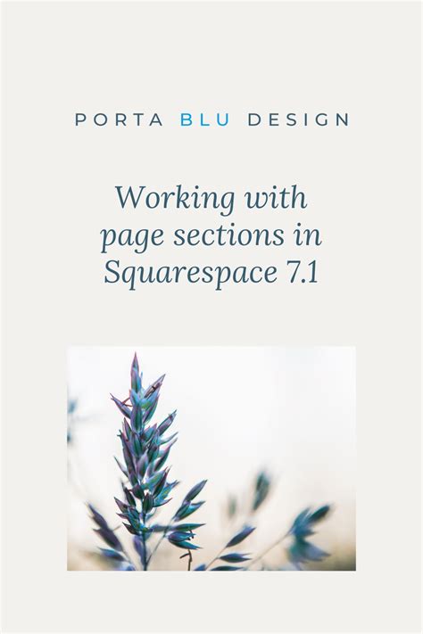 How To Create Anchor Links In Squarespace Porta Blu Design