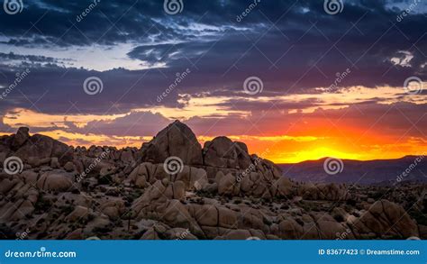Sunrise At Joshua Tree National Park Stock Image Image Of Joshua