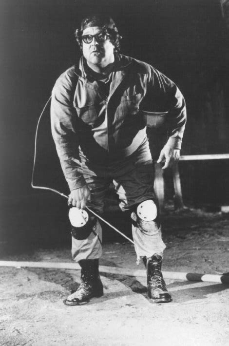 Lavender Pest Control Delbert Mcclintock Exterminator Of The Silver Screen