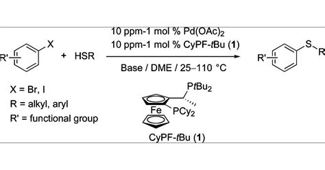 Aryl Functional Group