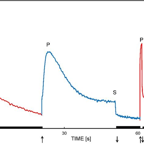 Application Of A Light Dark Protocol Similar As Used In Fig 2 For