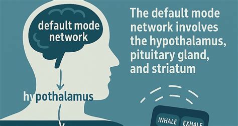 Classroom · Breathwork Biohacking