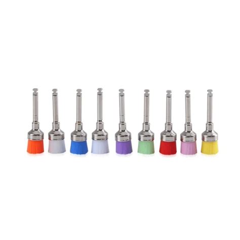 Prophy Brushes Dental Store Lk