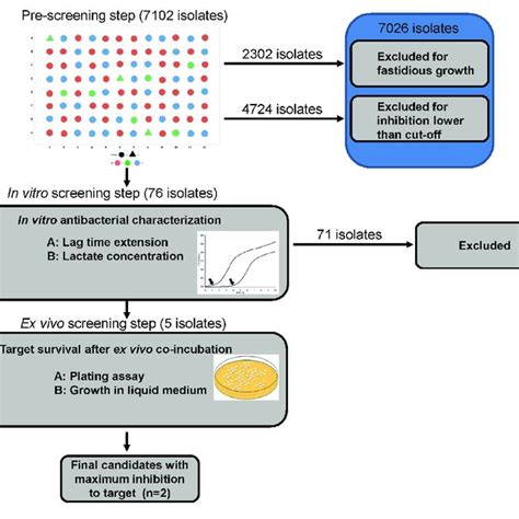 Experimental Design Of The Assay Download Scientific Diagram