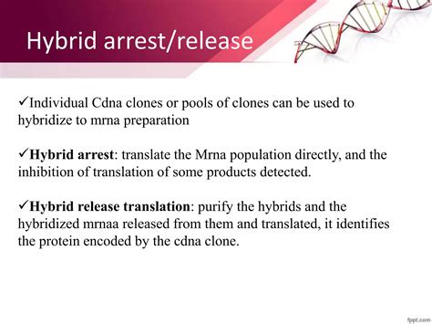Genomic Library Construction Pptx