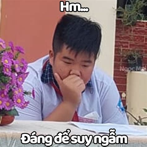 Meme Học Sinh Giỏi 😌 Meme Ngọc Đắng