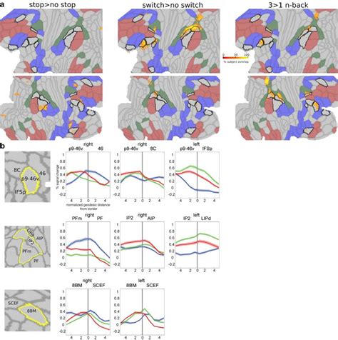 Peak Activations At Region Borders A Subject Overlap Map Of Top 5 Download Scientific