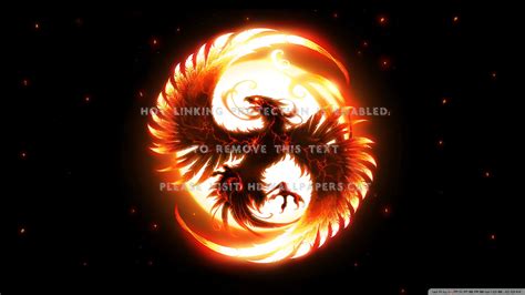 🔥 20 Flamebird Wallpapers Wallpapersafari