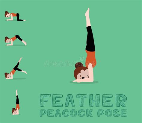 Yoga Tutorial Feather Peacock Pose Cartoon Vector Illustration Stock