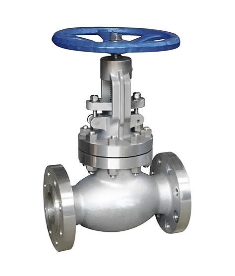 Stainless Steel 316 Globe Valve Riddhi Siddhi Impex