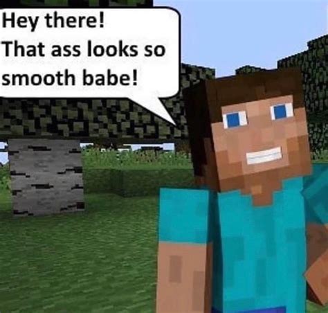 Best 12 Book Review Of Minecraft Steve Vs The Burpinator Artofit