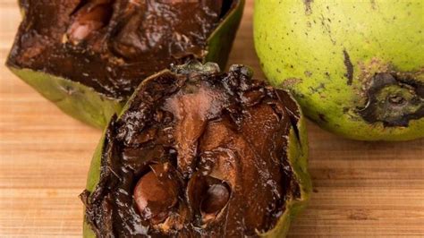 Caratteristiche E Benefici Dello Zapote Nero Scopri Questo Frutto Unico
