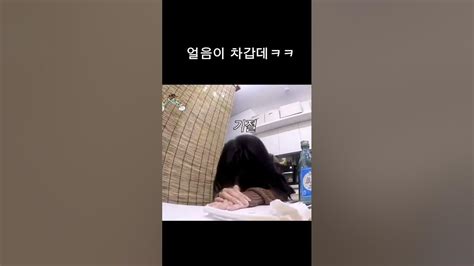 구독하면 호시가 찾아가요 호시 햄스터 세븐틴 Youtube