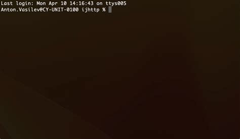 Client Cli Intellij Idea Documentation