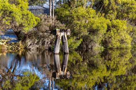 Vasse Wonnerup Wetlands The Lower Vasse River Is Made Up Of The Vasse And Wonnerup Estuaries