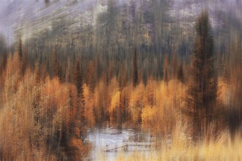 Sequoia Abstract Expressionism Images Free Download On Freepik