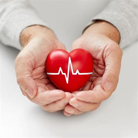 Ekg Vizsgálat Kardioközpont