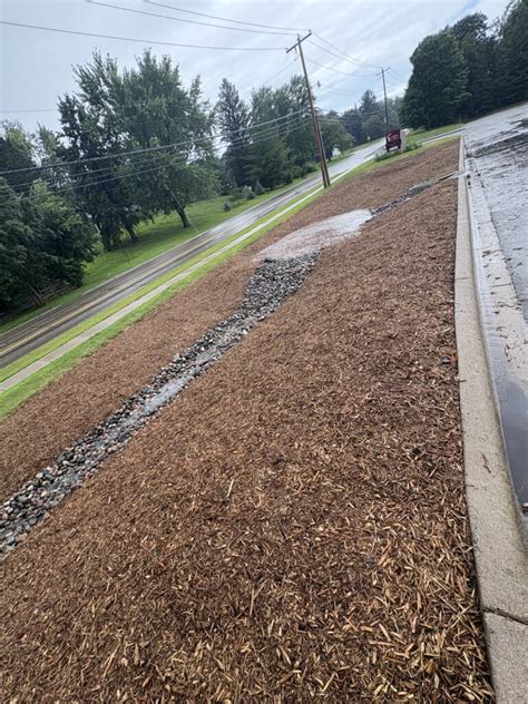 Christ The King Church Rain Garden Rice Creek Watershed District