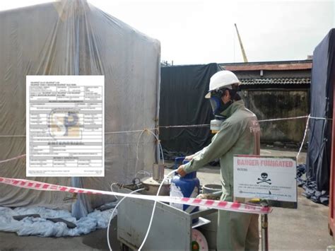 Fumigation Certificate Providers At ₹ 2150 Container Rajkot Id