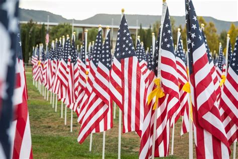 Field Of Veterans Day American Flags Waving In The Breeze Stock Image Image Of Rows Start
