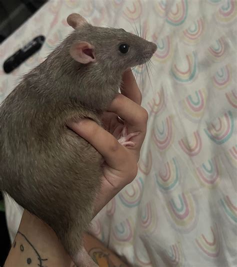 Candy U Candyy Vanity69 Reddit