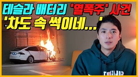 테슬라 배터리 열폭주 화재 주식만 속 썩이는게 아니고 차도 속 썩이냐 Youtube