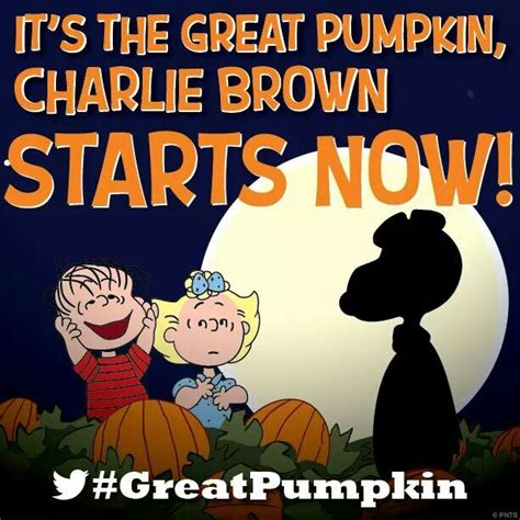 Pin By Jennifer Knight On Peanuts Charlie Brown Charlie Brown