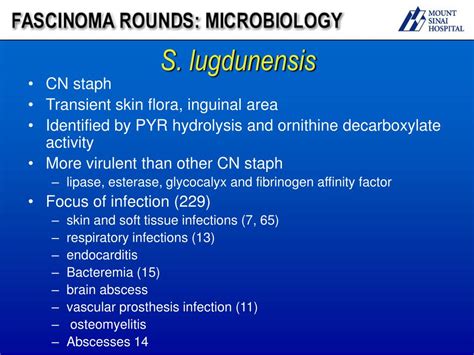 Ppt Fascinoma Rounds Coagulase Negative Staphylococcus In The Urine Powerpoint Presentation