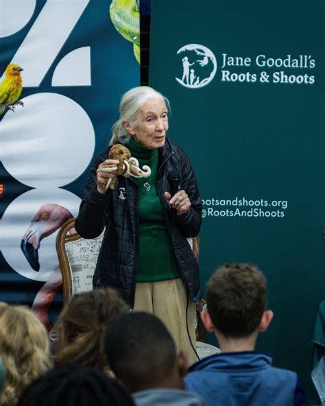 「黑猩猩之母」珍古德 91 歲睡夢中辭世，26 歲給世界極大震撼傳奇一生！ Juksy 街星