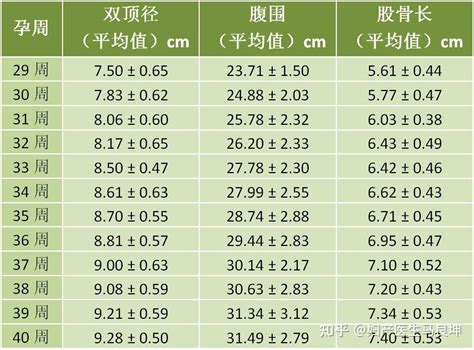 听说这个数值能看出胎儿性别？深度解锁双顶径的小秘密，孕妈必看 知乎
