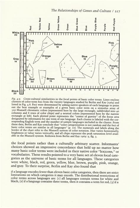 Network Address Cultural Evolution Of Basic Color Terms
