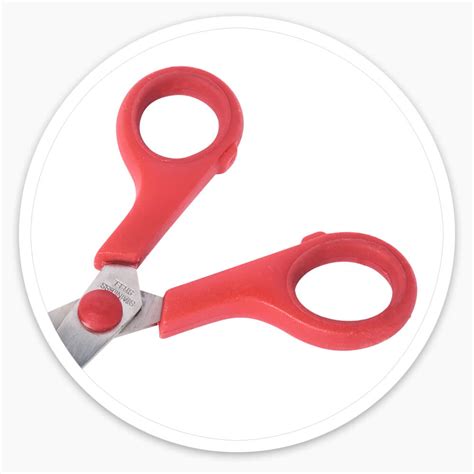 Small Classroom Scissors Free Delivery