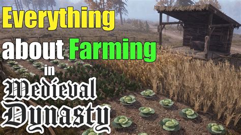 Medieval Dynasty Farming Guide Start To Harvest Youtube