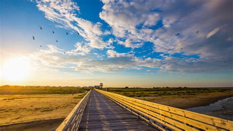 Louisianas State Park Hidden On A Gulf Coast Island Is A Wetland