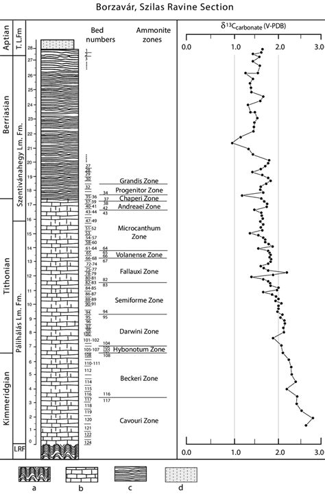 Ammonite Stratigraphy Of The Upper Jurassic Lower Cretaceous Section