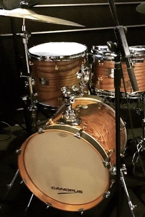 Canopus Ash Bop Kit Hobbies And Toys Music And Media Musical Instruments