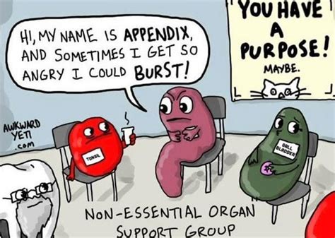 The Tonsil Gall Bladder And Appendix Looking At The Wisdom Tooth And Saying “you Cant Sit