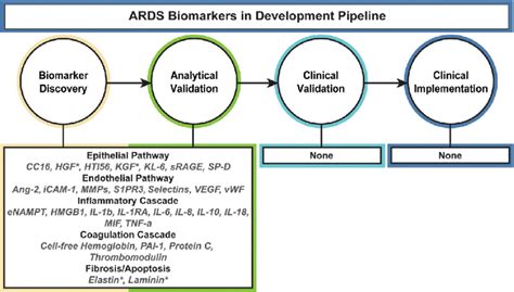 Ards Biomarkers In The Development Continuum The Majority Of The