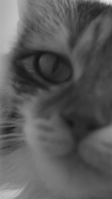 Cute Bottomless Girls Dancing On Short Dresses Videos Download The Best Free 4k Stock Video