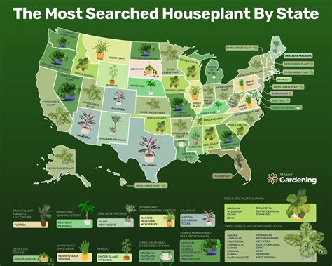 These Are The Most Popular Houseplants In America Architectural