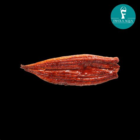 Unagi Kabayaki Eel Fortune