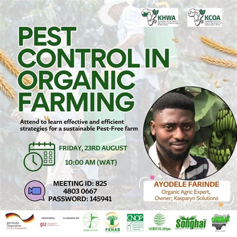 Intresting Syed Bilal Ali Zaidi