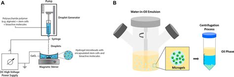 Lithography Microfluidics And Bioprinting Methods For Stem Cell