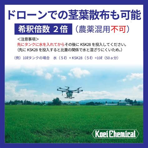 液体けい酸カリ肥料 Ksk28 水稲 稲作 米 一等米比率向上 登熟向上増収（粒張り向上）倒伏軽減高温障害（胴割れ・乳白）対策 タンパク抑制