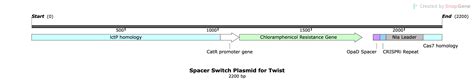 Addgene Spacer Switch Plasmid