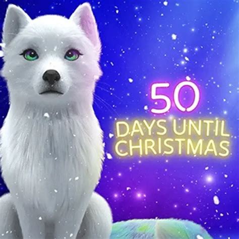 Elf X Ray The Elf On The Shelf