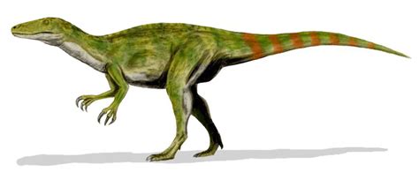 Fukuiraptor Alchetron The Free Social Encyclopedia
