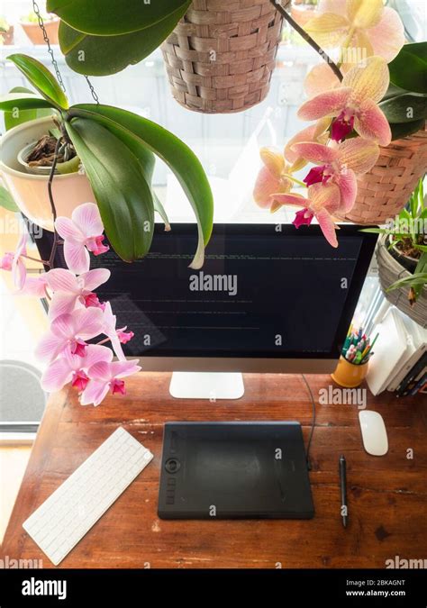Html Editor Hi Res Stock Photography And Images Alamy