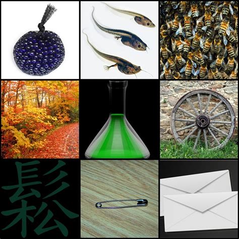 Plexiform Pattern Patternsinhistopathology Pathology Made Simple