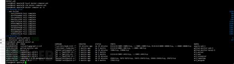 Cve 2024 43441 Apache Hugegraph 硬编码漏洞 复现 Freebuf网络安全行业门户